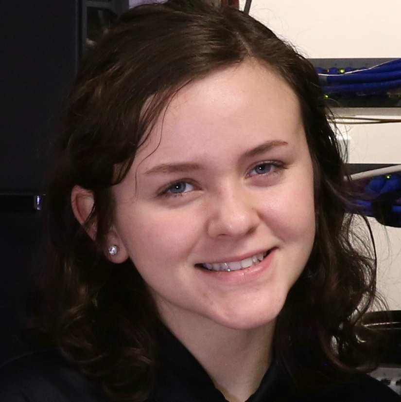 Dataseam Apprentice Application